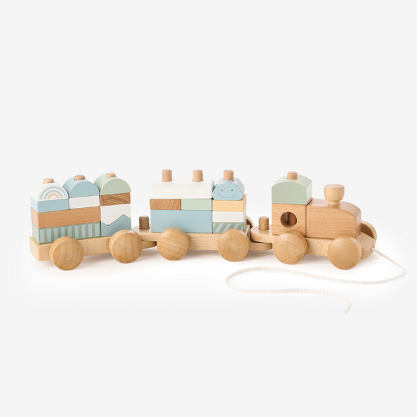 Wooden Push Toy Train – Elegant Baby